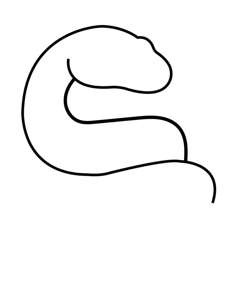 How To Draw Snake In Simple And Easy Steps