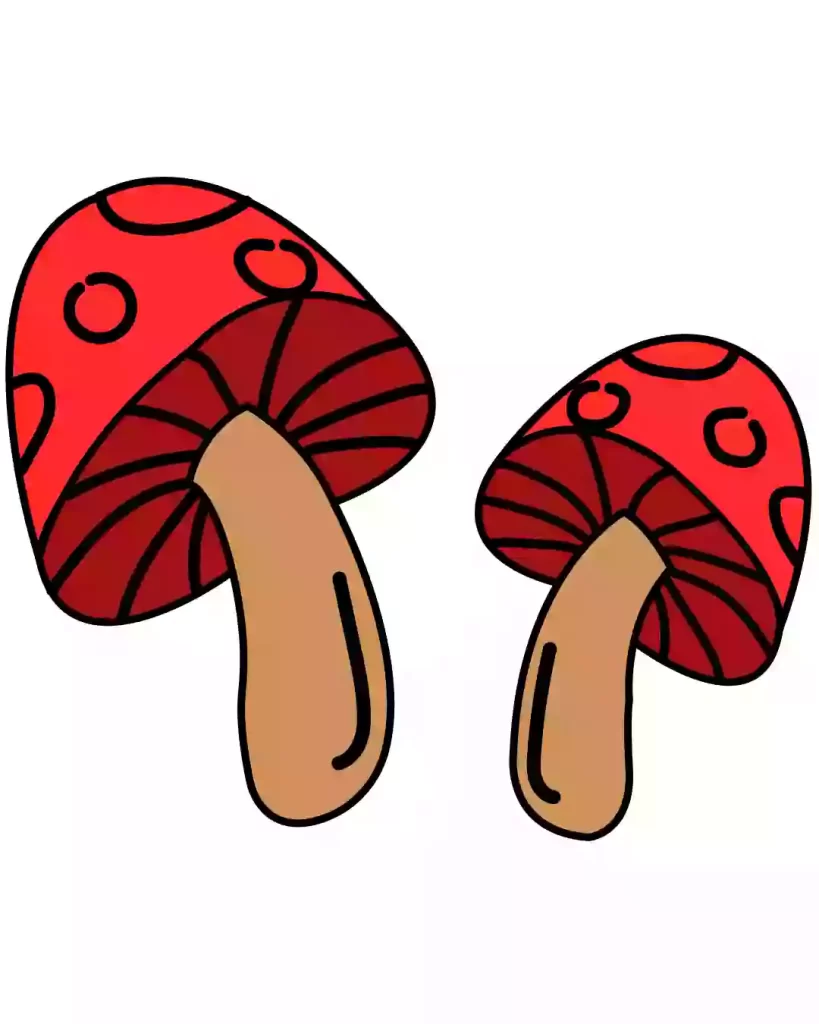How To Draw Mushroom In Simple And Easy Steps