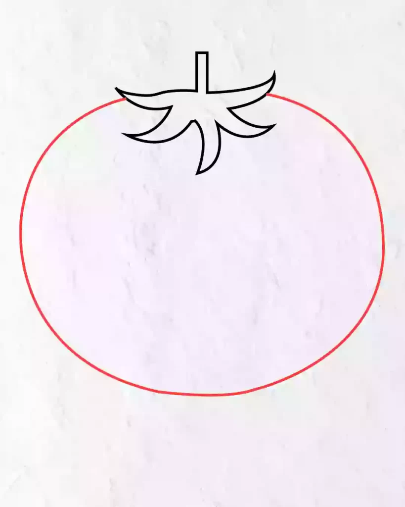 How To Draw Tomato In Simple And Easy Steps Guide