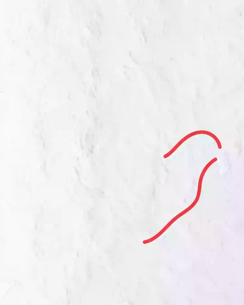 How To Draw Pigeon In Simple And Easy Step By Step Guide