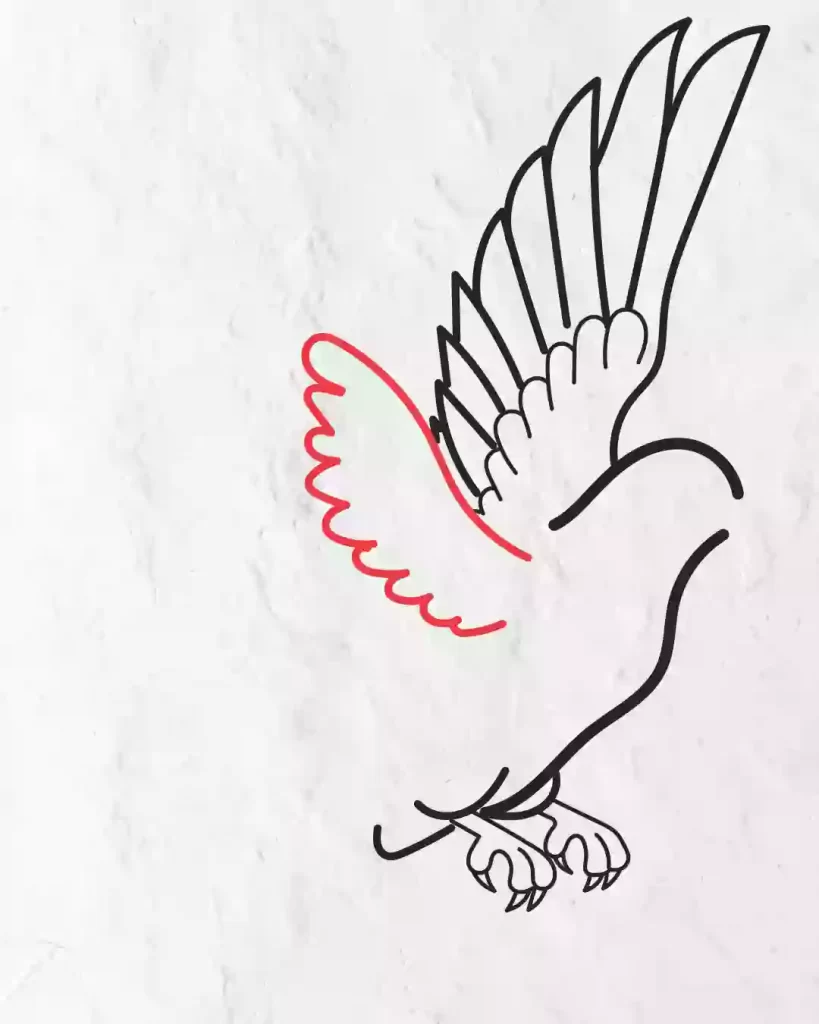 How To Draw Pigeon In Simple And Easy Step By Step Guide