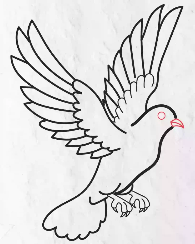 How To Draw Pigeon In Simple And Easy Step By Step Guide