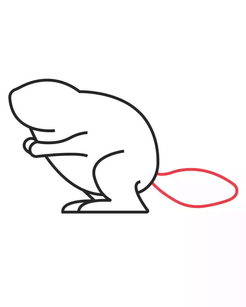 How To Draw A Beaver - Step-by-Step | Storiespub